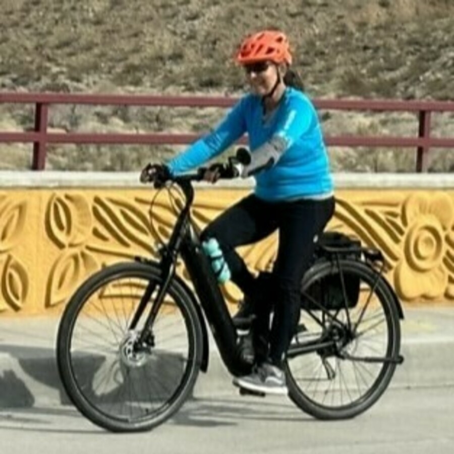 2022 Trek step through