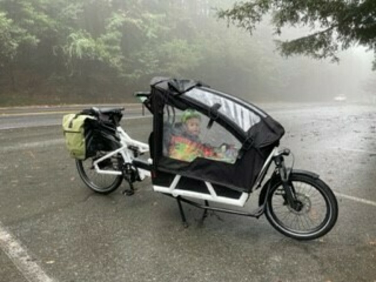 2022 Riese und Müller Load 75