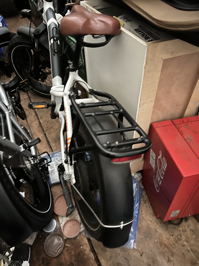 2019 Rad Power Bikes RAD Mini Step thru