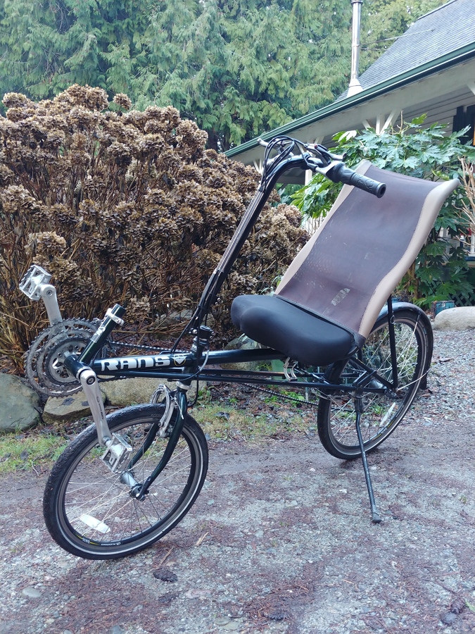 2004 Rans Designs V-Rex recumbent