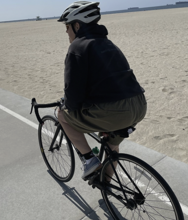 Stolen Specialized Langster