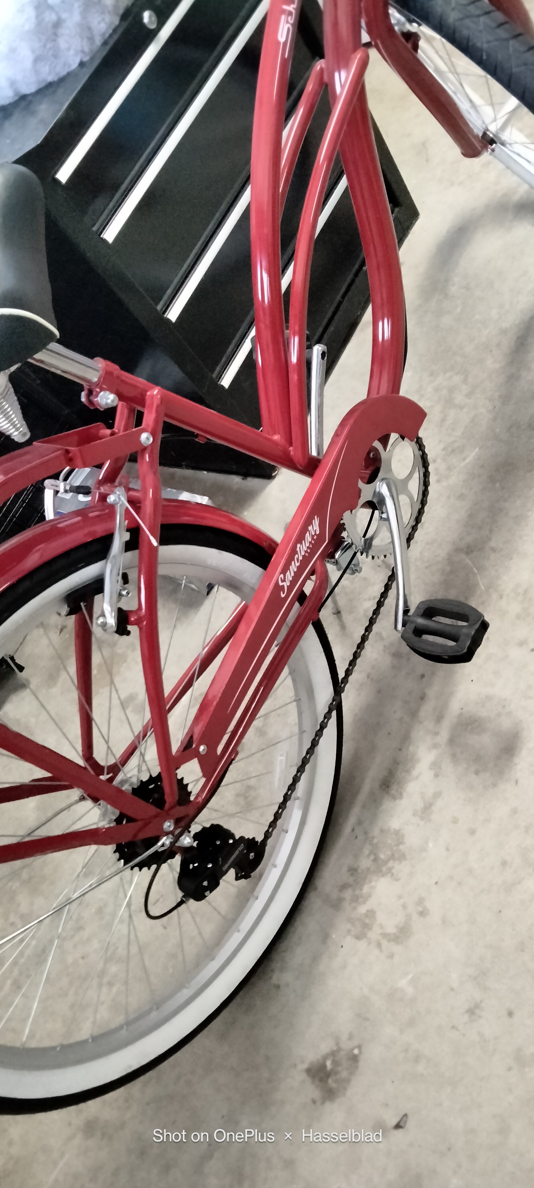 2019 Schwinn Step through
