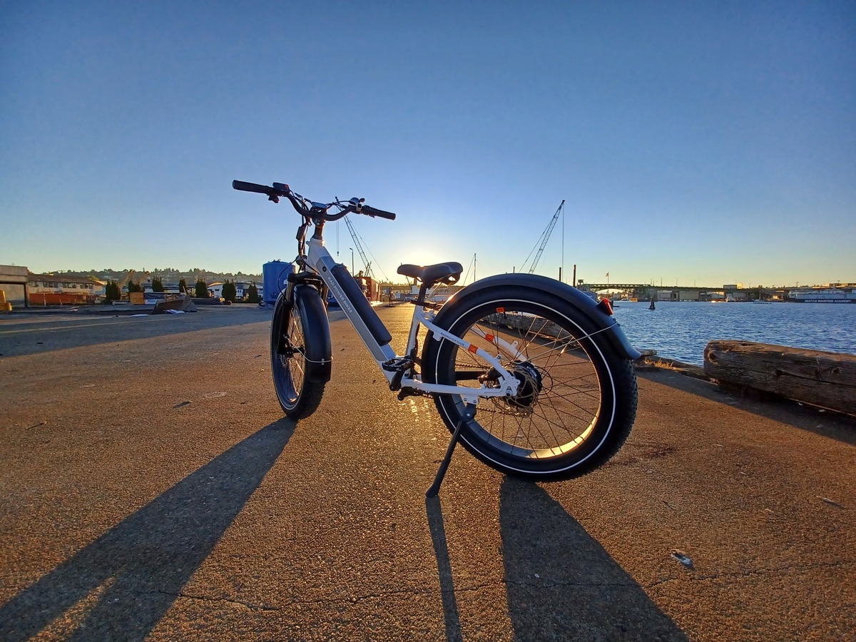 Stolen 2021 Rad Power Bikes Power 6 Step through