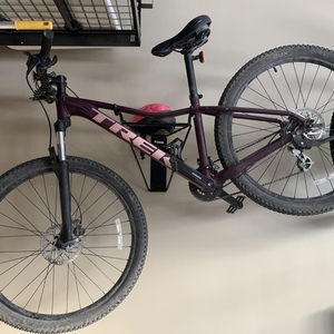2021 Trek