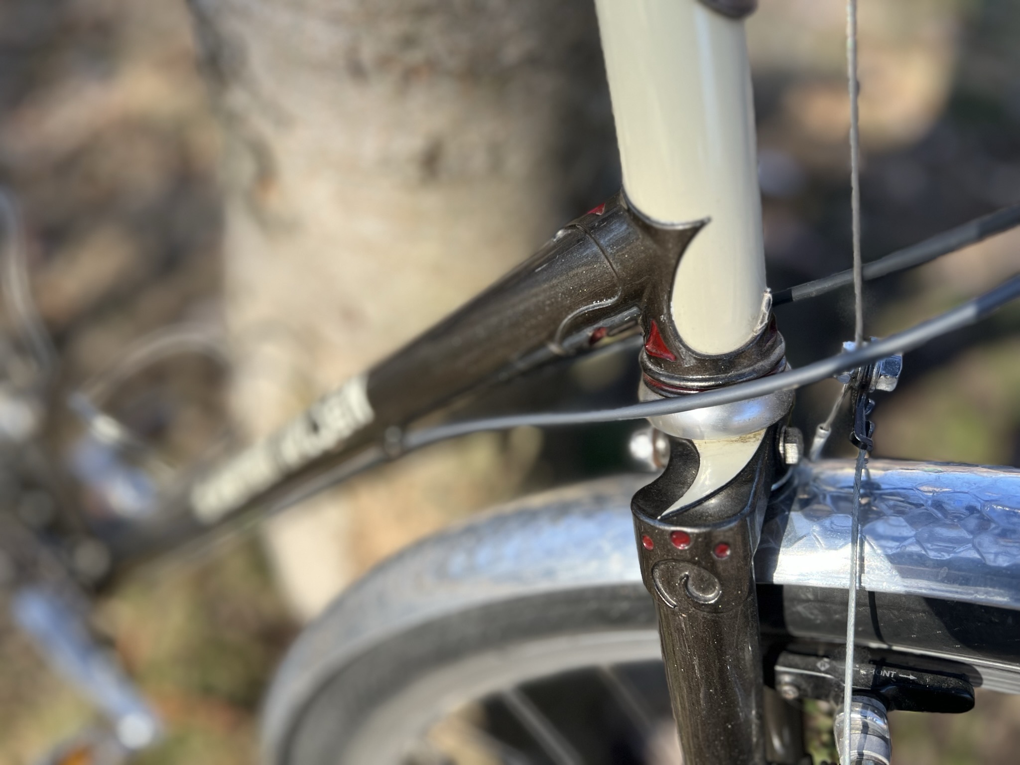 2014 Rivendell Bicycle Works A. Homer Hilsen