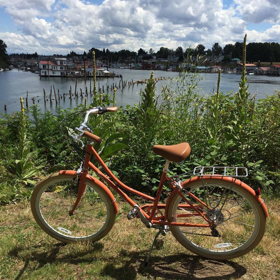 2015 Pure Cycles Bromley