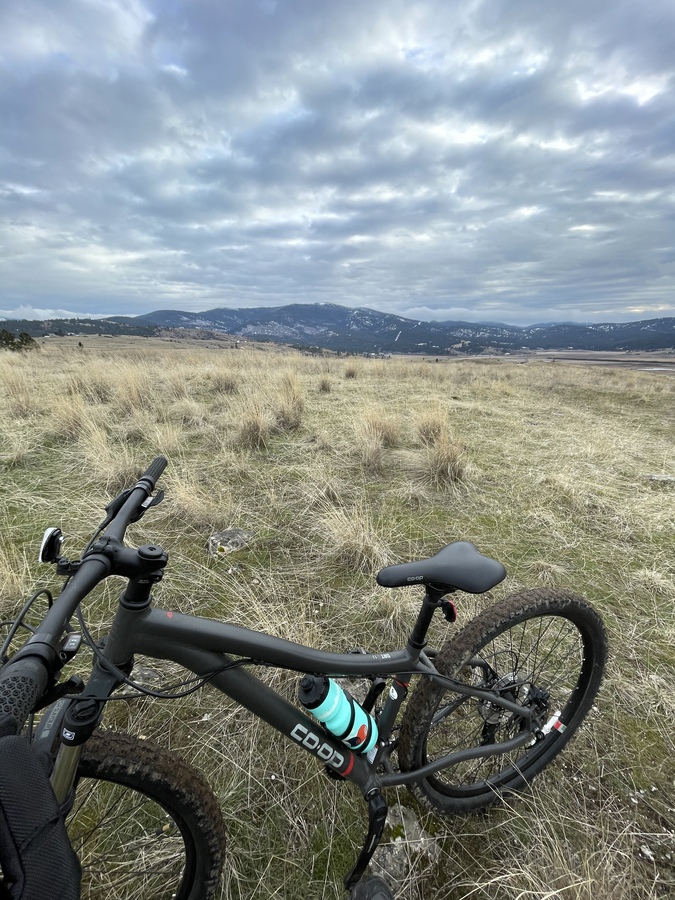 Stolen 2021 REI DRT 1.1