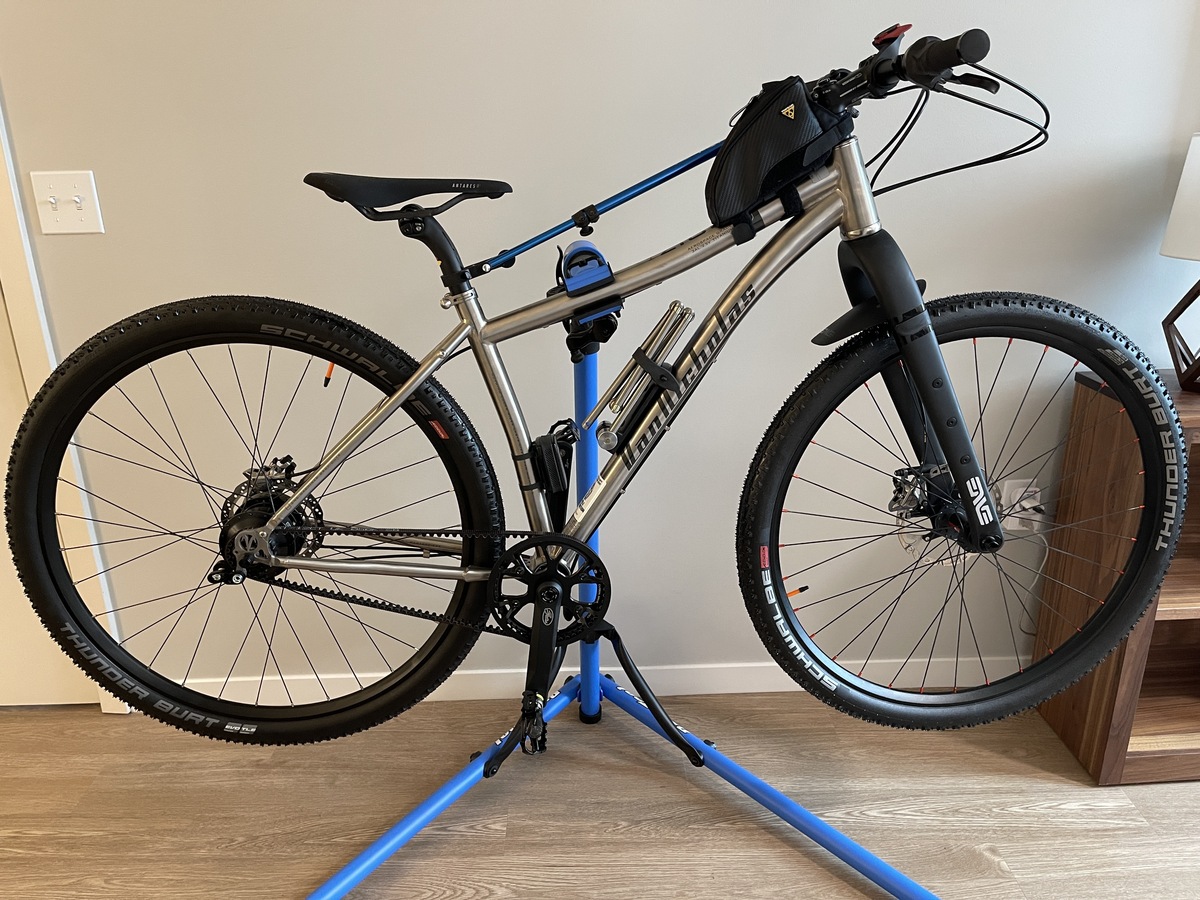 2021 Van Nicholas Zion Rohloff 29er