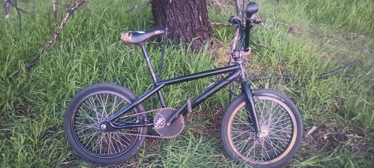 2008 Hoffman Scarab