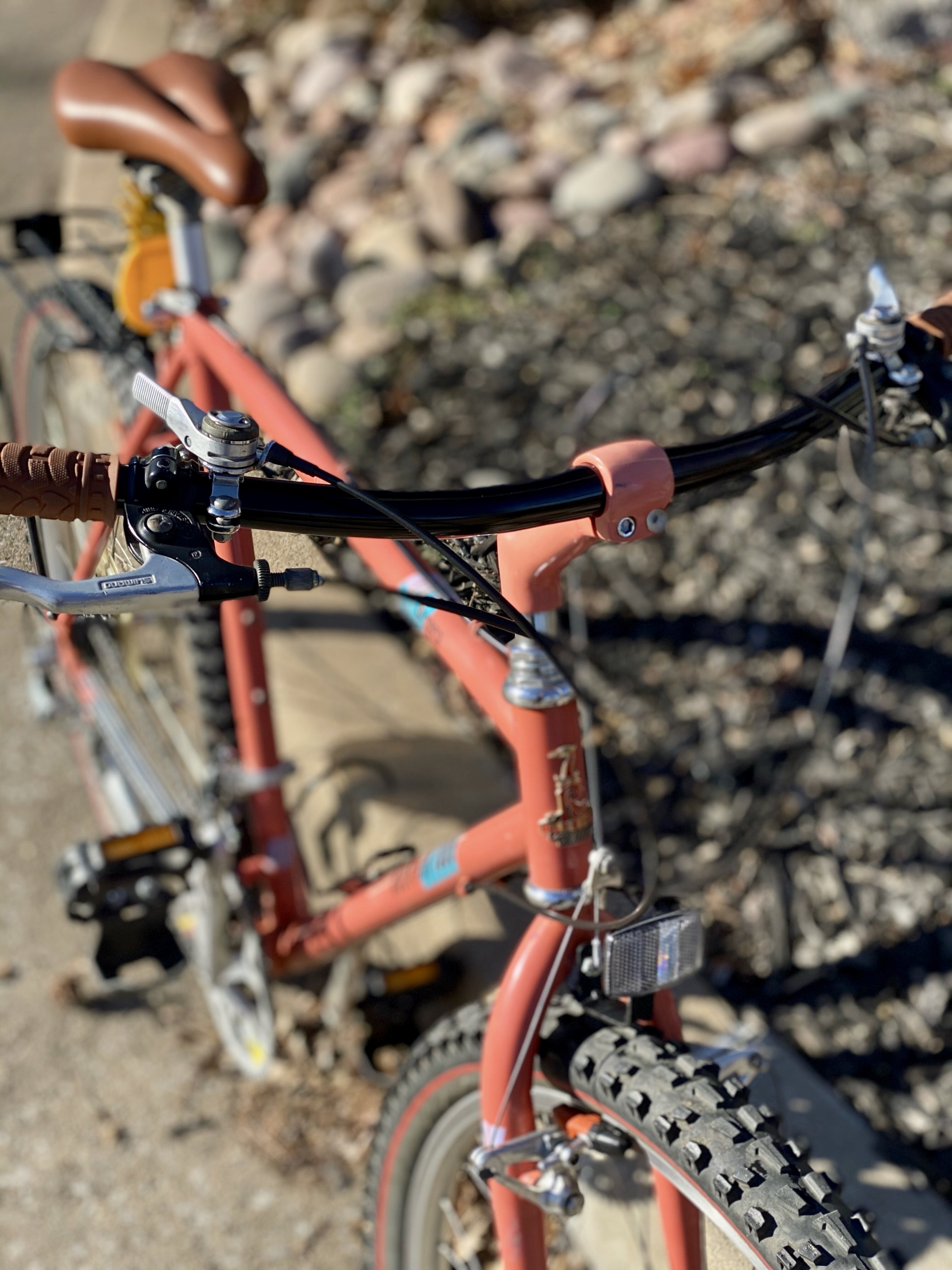 1986 Raleigh Seneca Mountain Tour