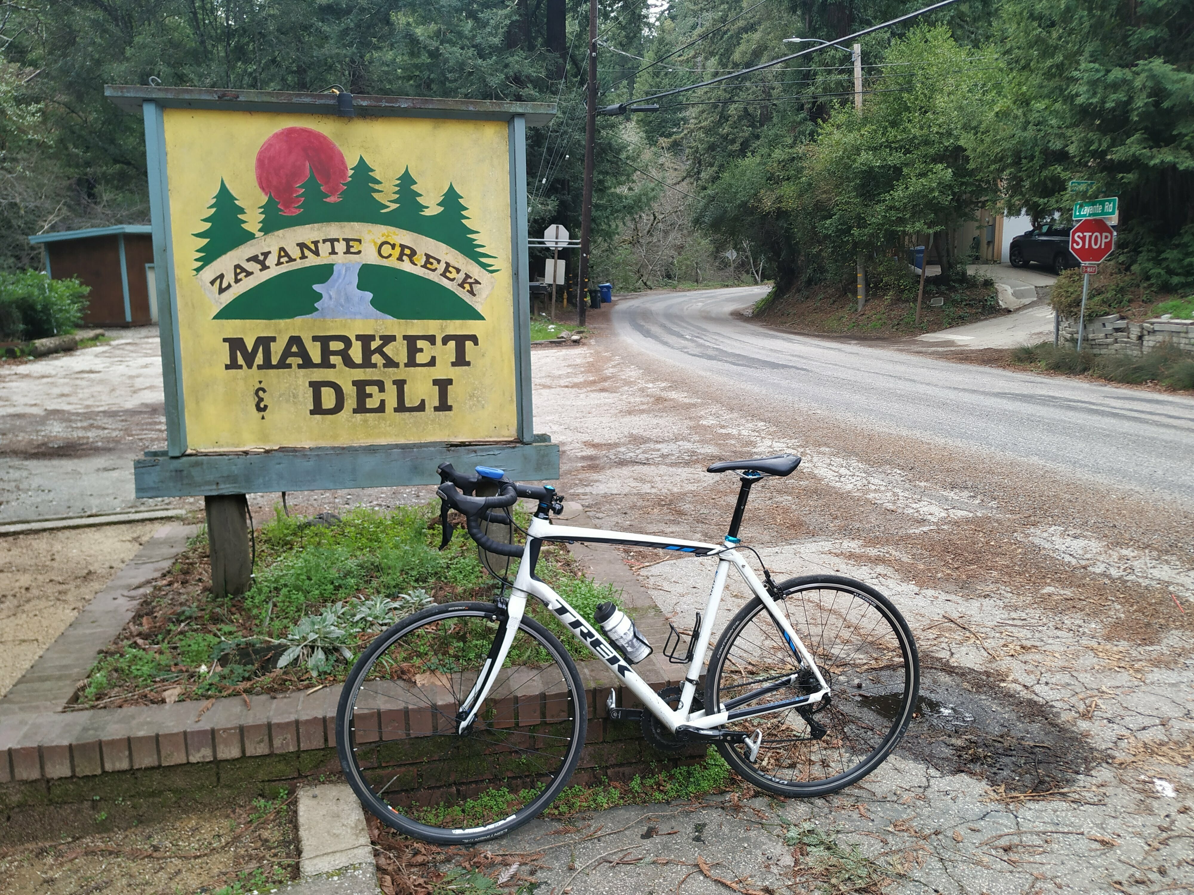 Stolen 2016 Trek Domane 2.3