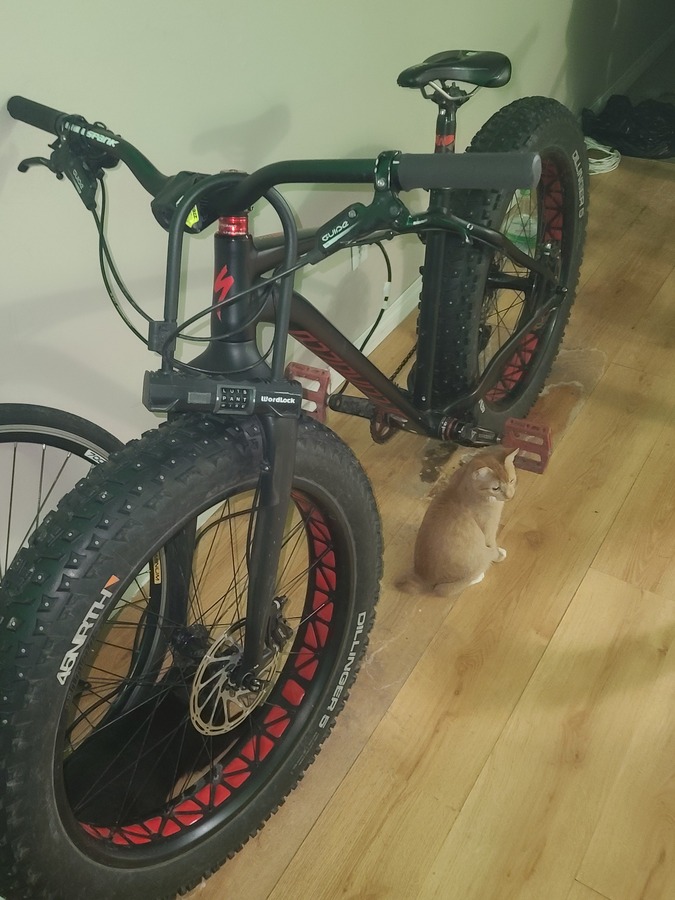 2016 Specialized fatboy