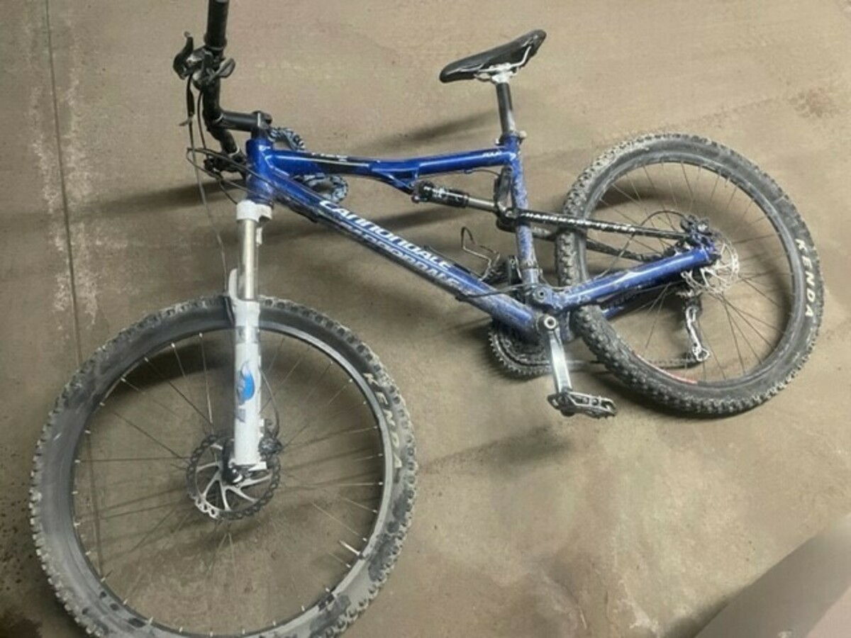 2009 Cannondale Rize four