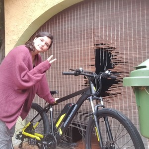 Stolen Shimano Hiland Rockshark