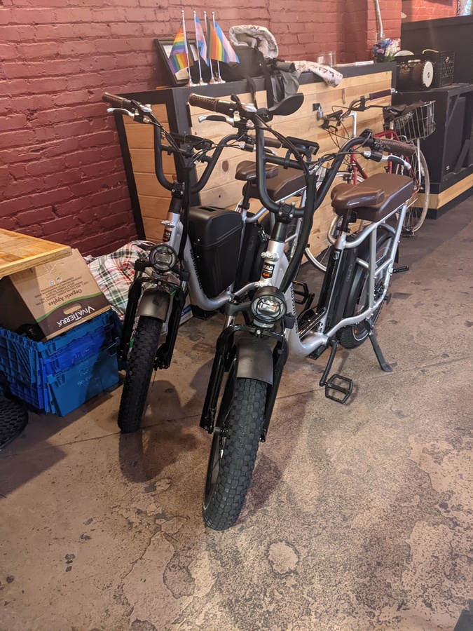 2022 Rad Power Bikes RadRunner Plus