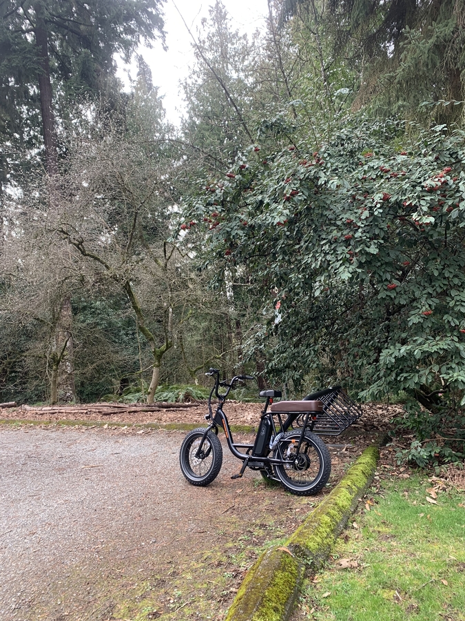 2021 Rad Power Bikes RadRunner 2