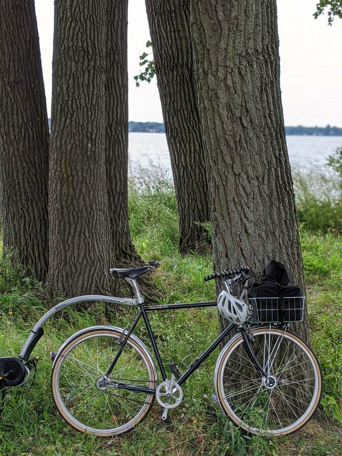 Handsome Cycles Fredward