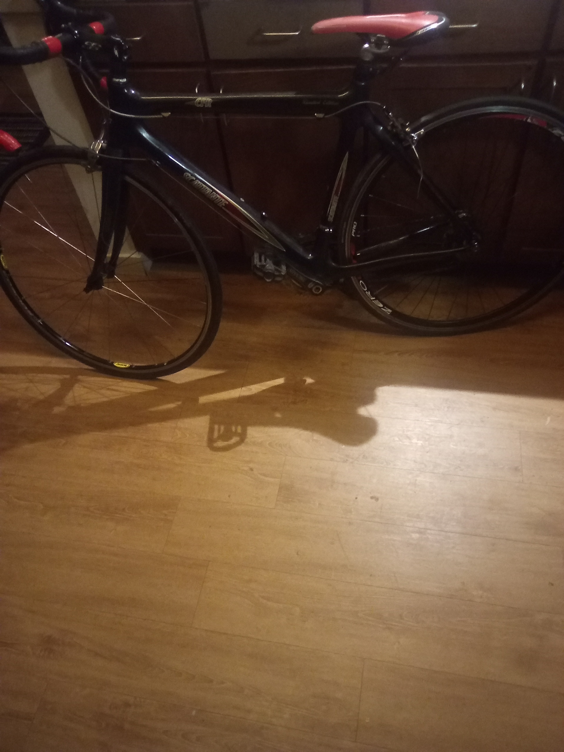 2006 Scattante Rode bike