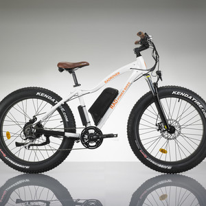 2016 Rad Power Bikes RadRover Medium Unisex