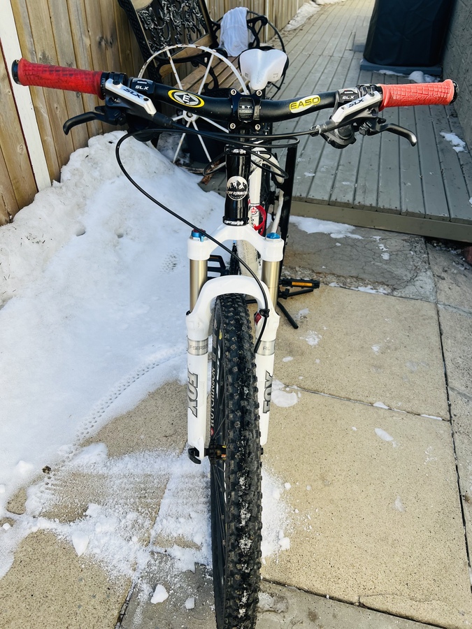 2010 Rocky Mountain Bicycles Vertex 50