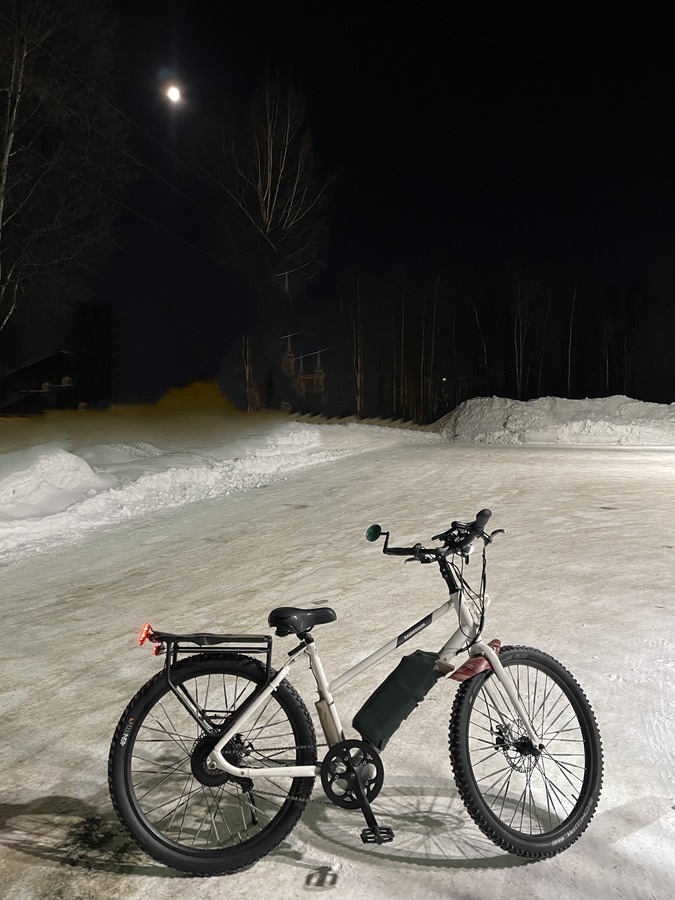 2020 Rad Power Bikes Rad Mission 1