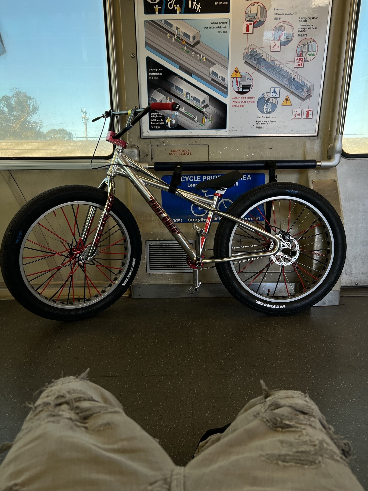 Stolen 2021 SE Bikes Fat Quad