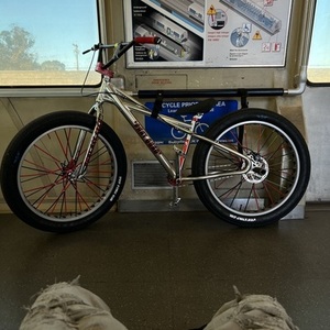 Stolen 2021 SE Bikes Fat Quad