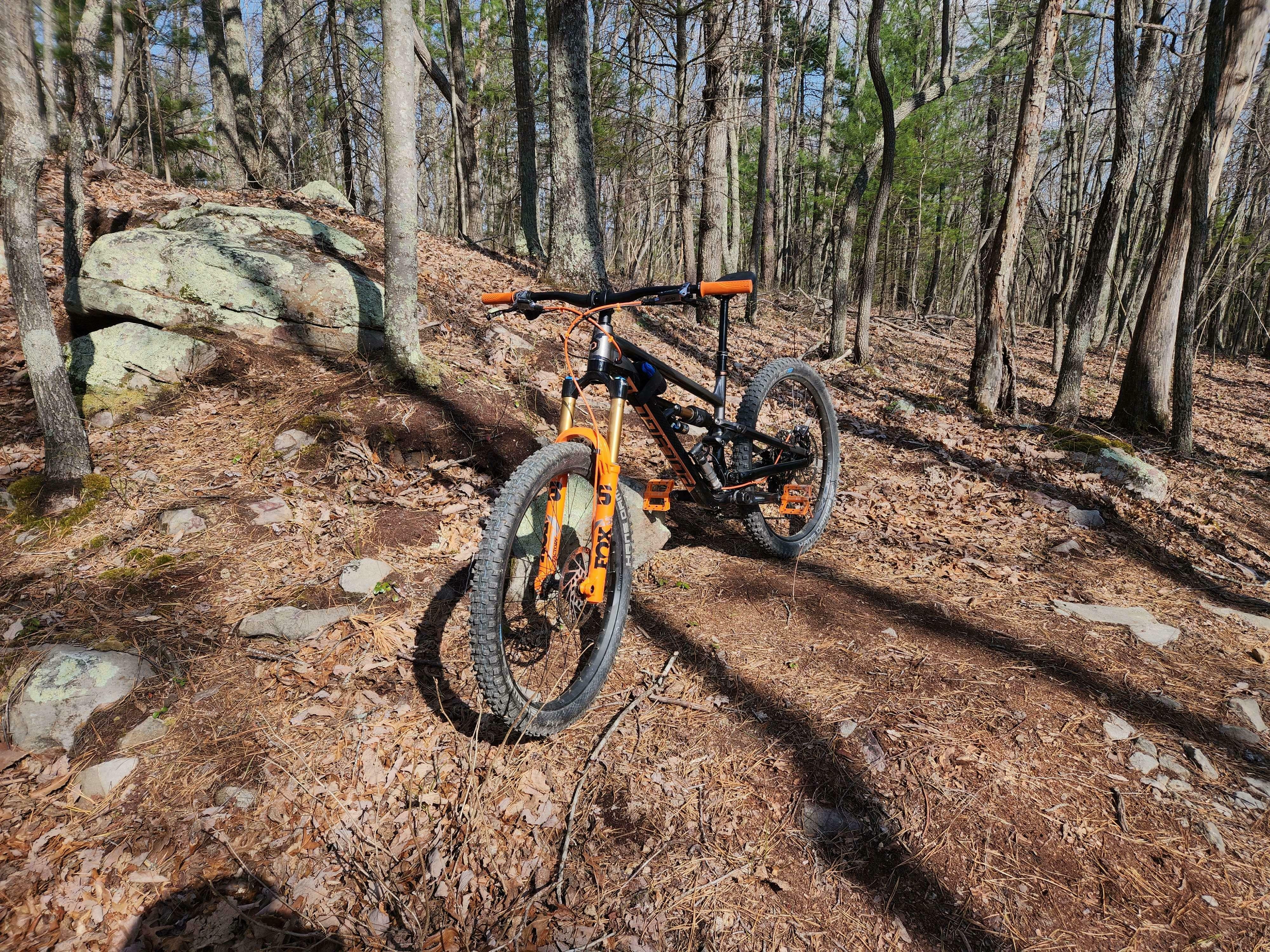 2022 Polygon Siskiu T8