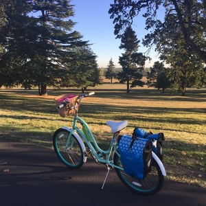 2017 Electra Townie 21D Ladies