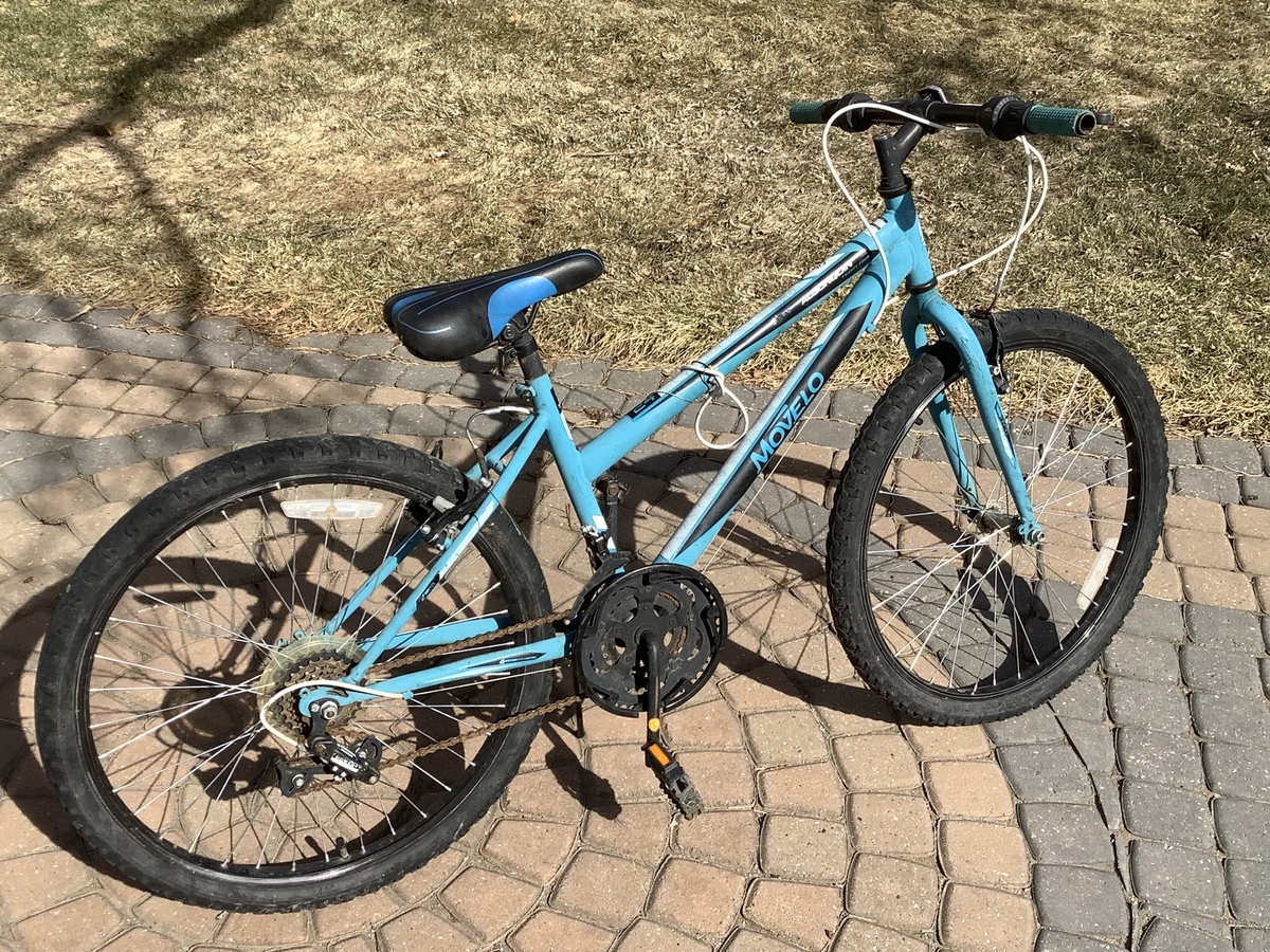 Movelo Walmart Algonquin 24