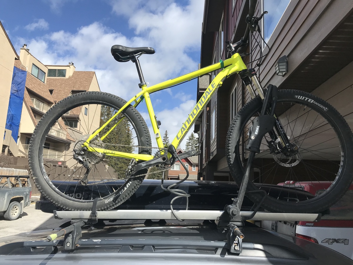 2018 Cannondale cujo 3