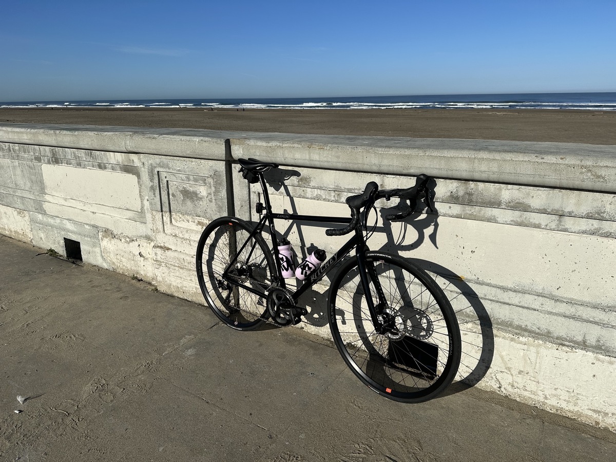 2022 Ritchey Road Logic Disc