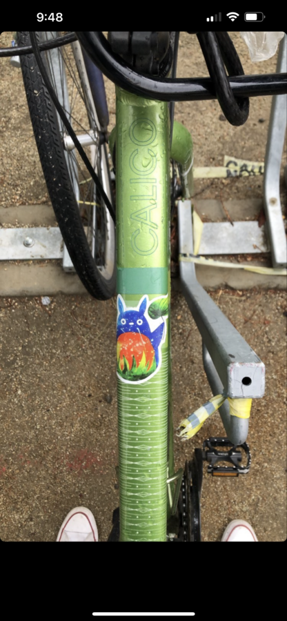 Stolen Diamondback Calico