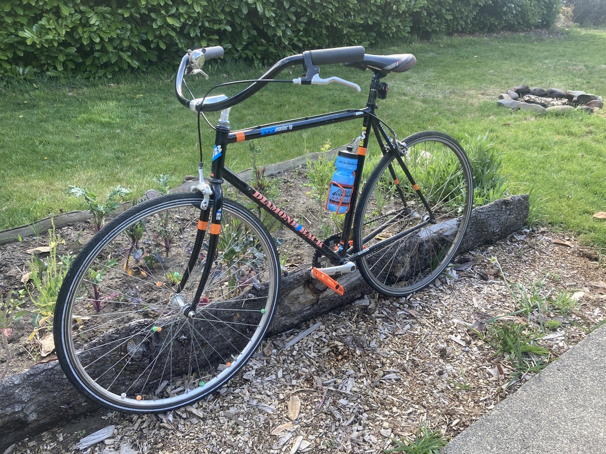 Diamondback DB Master TG