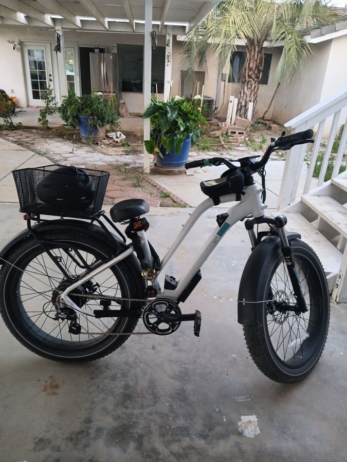 2022 Shimano Magicycle cruiser ebike cargo bike (rear storage)