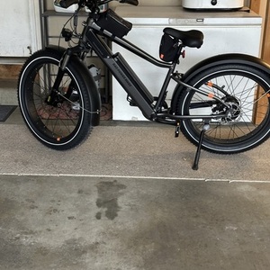 2022 Rad Power Bikes RadRover 6 Plus High Step