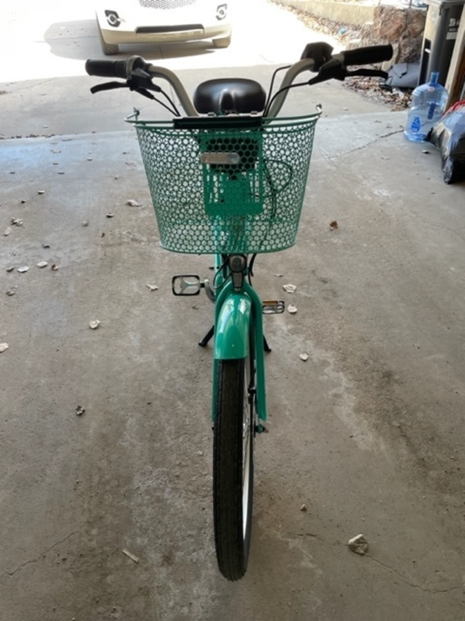 2023 Electra Townie Go 5i