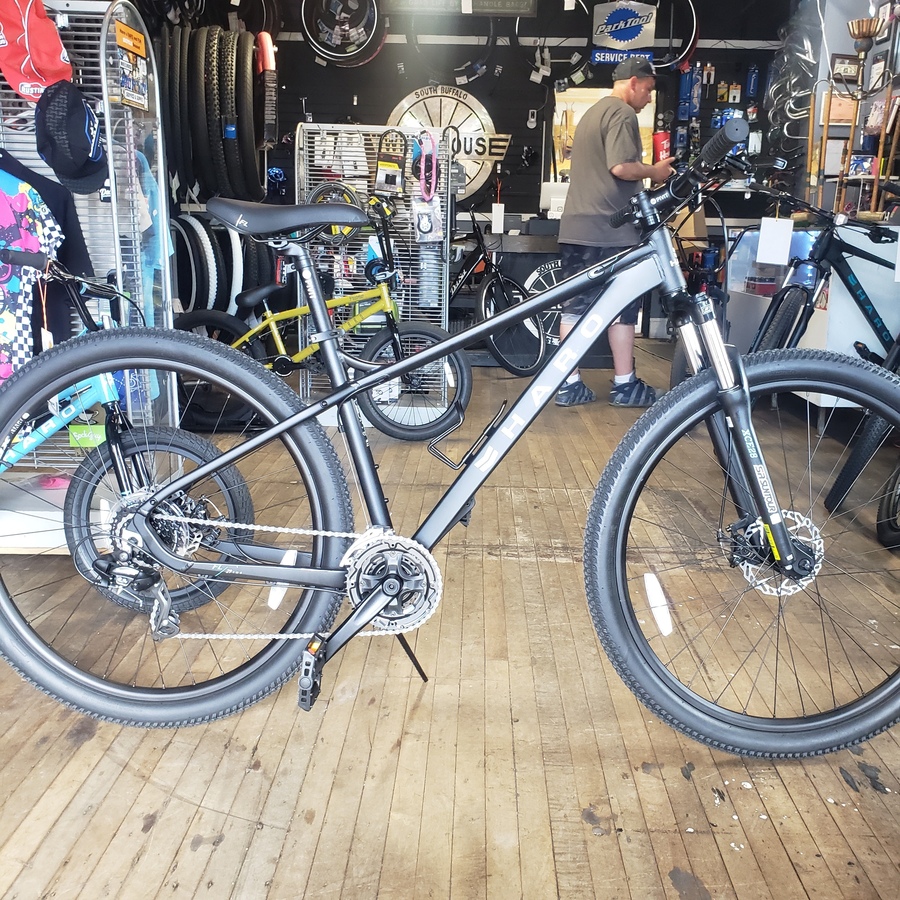 2022 Haro Flightline Two 29