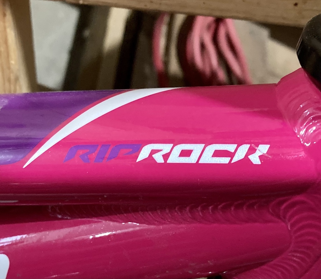 2021 Specialized RIPROCK