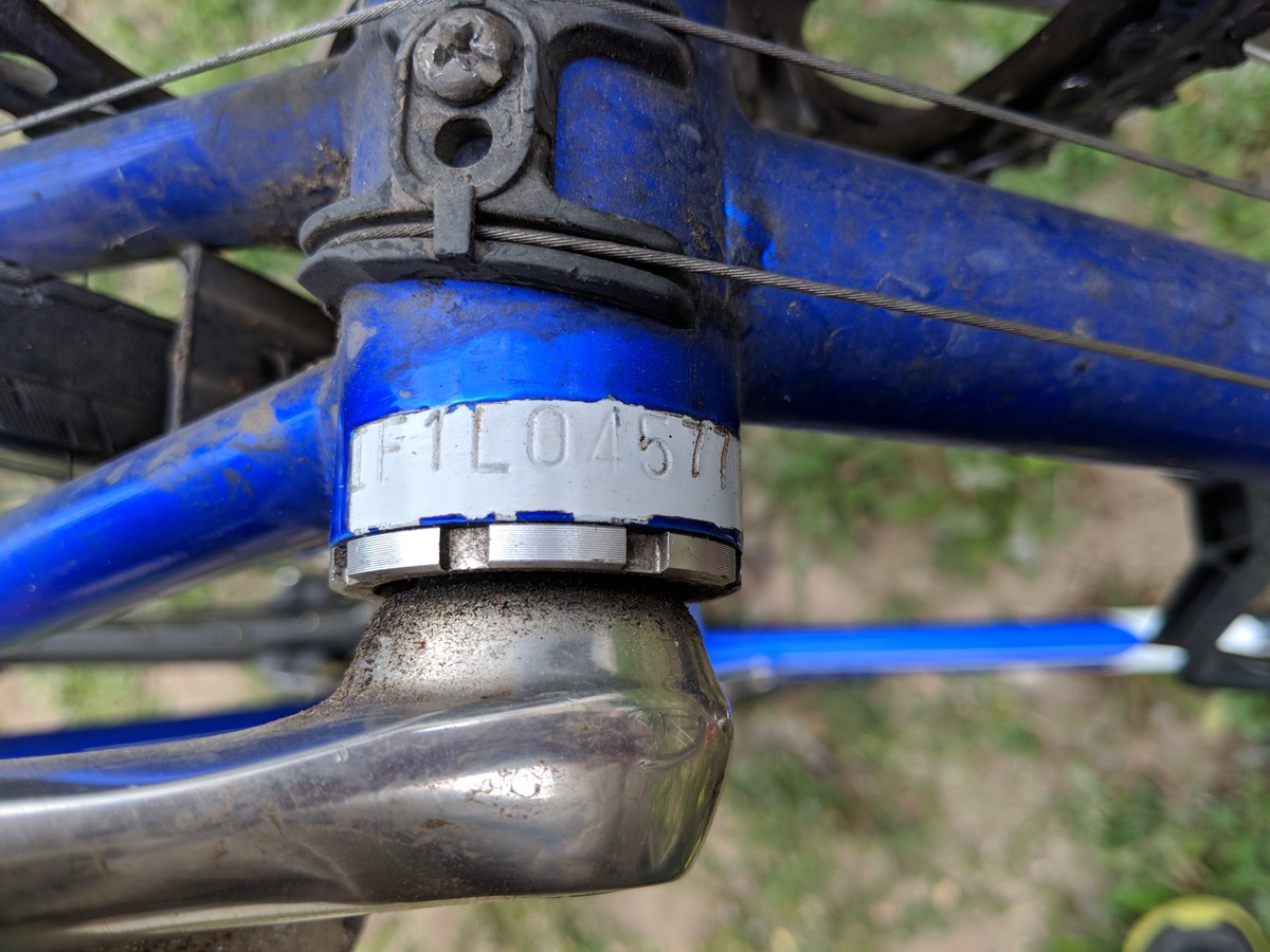 2002 Fuji Roubaix Pro