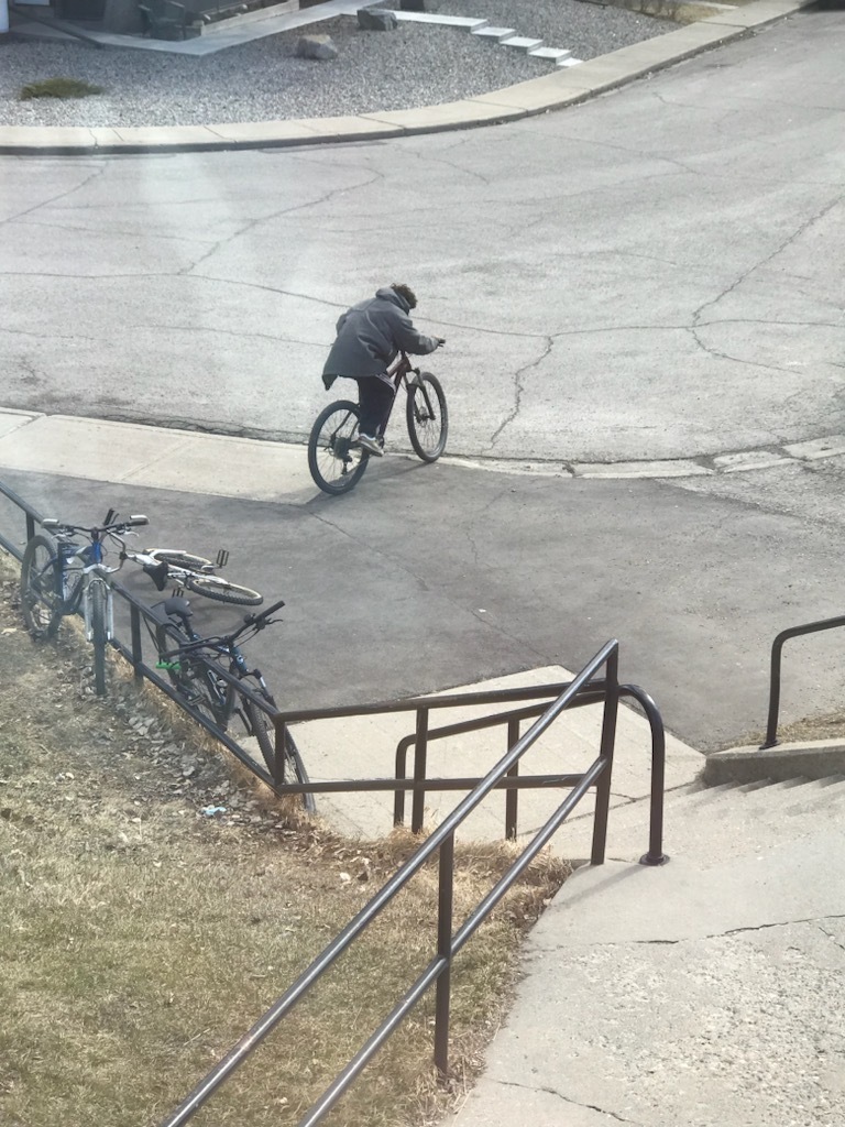 2017 Salsa Timberjack