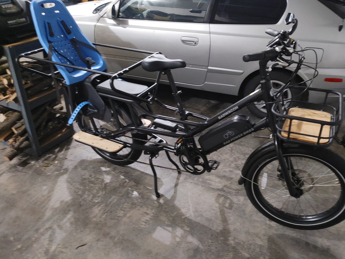 2020 Rad Power Bikes Radwagon 4