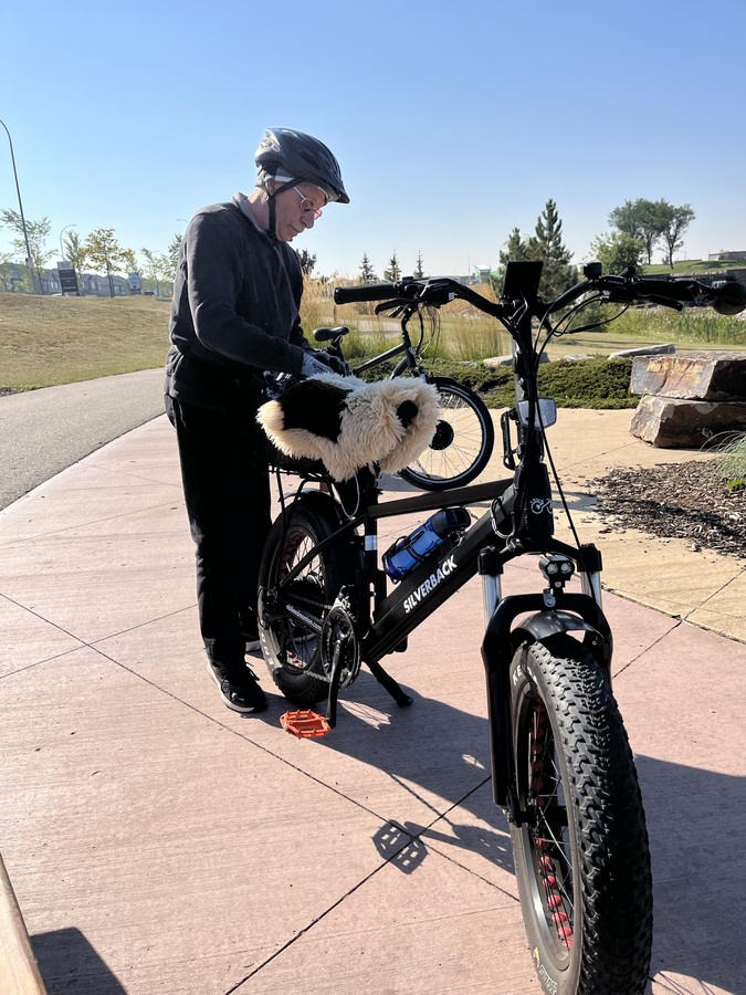 2022 Silverback D20F