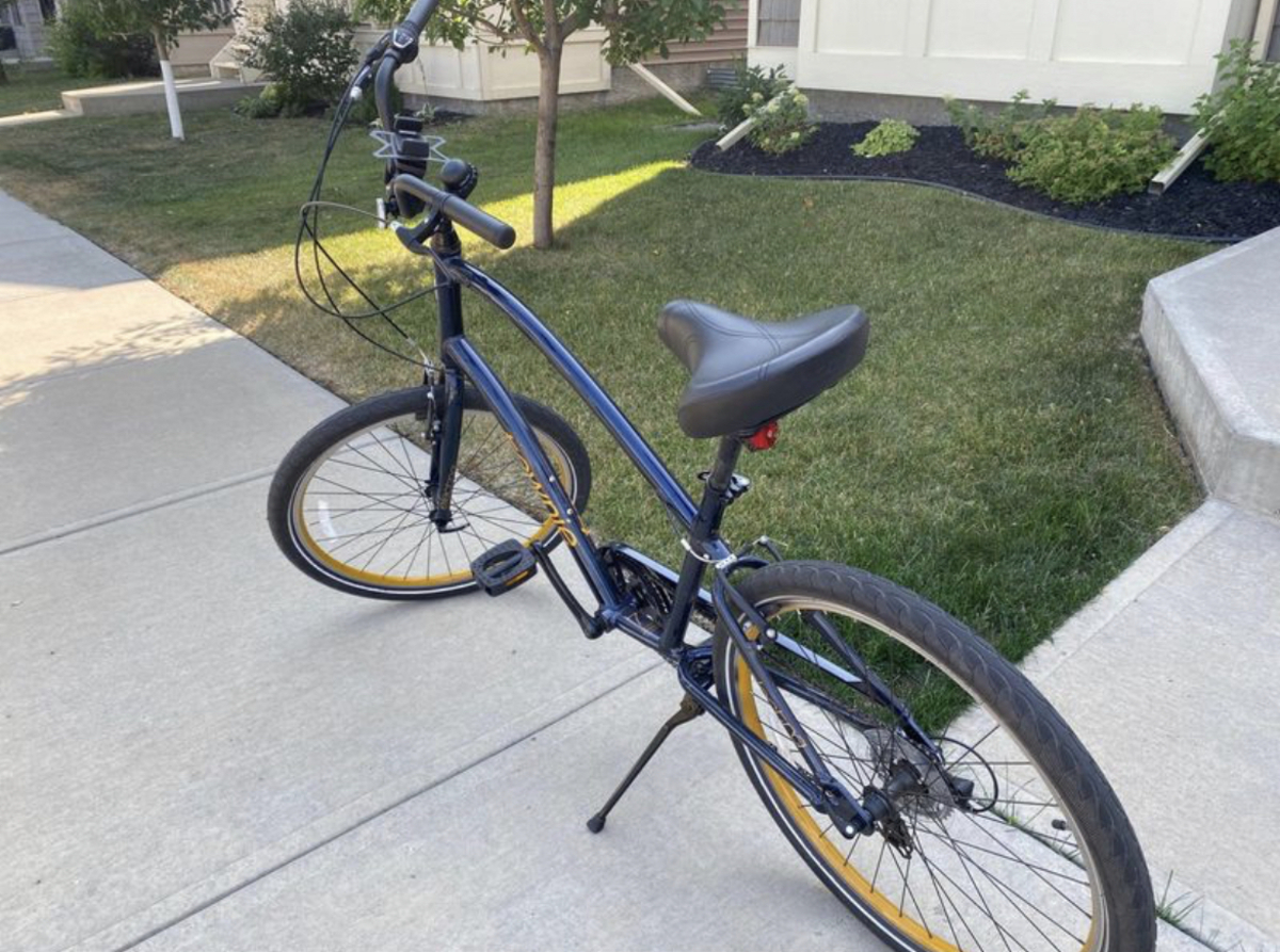 2021 Electra Townie 7d