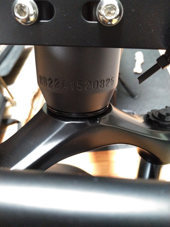 2023 Magicycle OCELOT PRO Step Thru