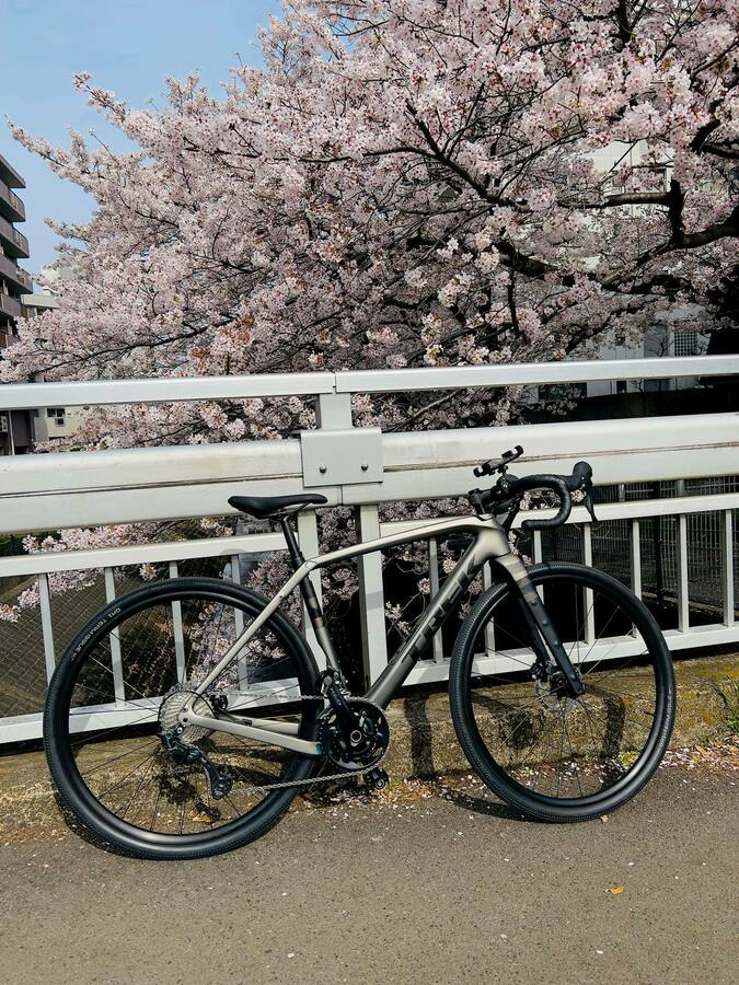 2022 Trek Checkpoint SL 5 (54")