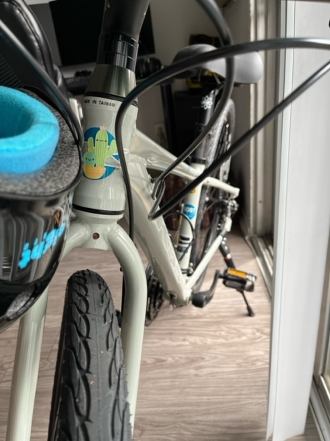 2021 KHS Bicycles X-Route 100