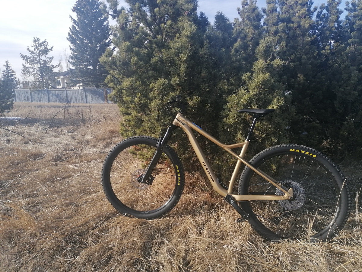 Orbea Laufey H30 Large Golden Sand