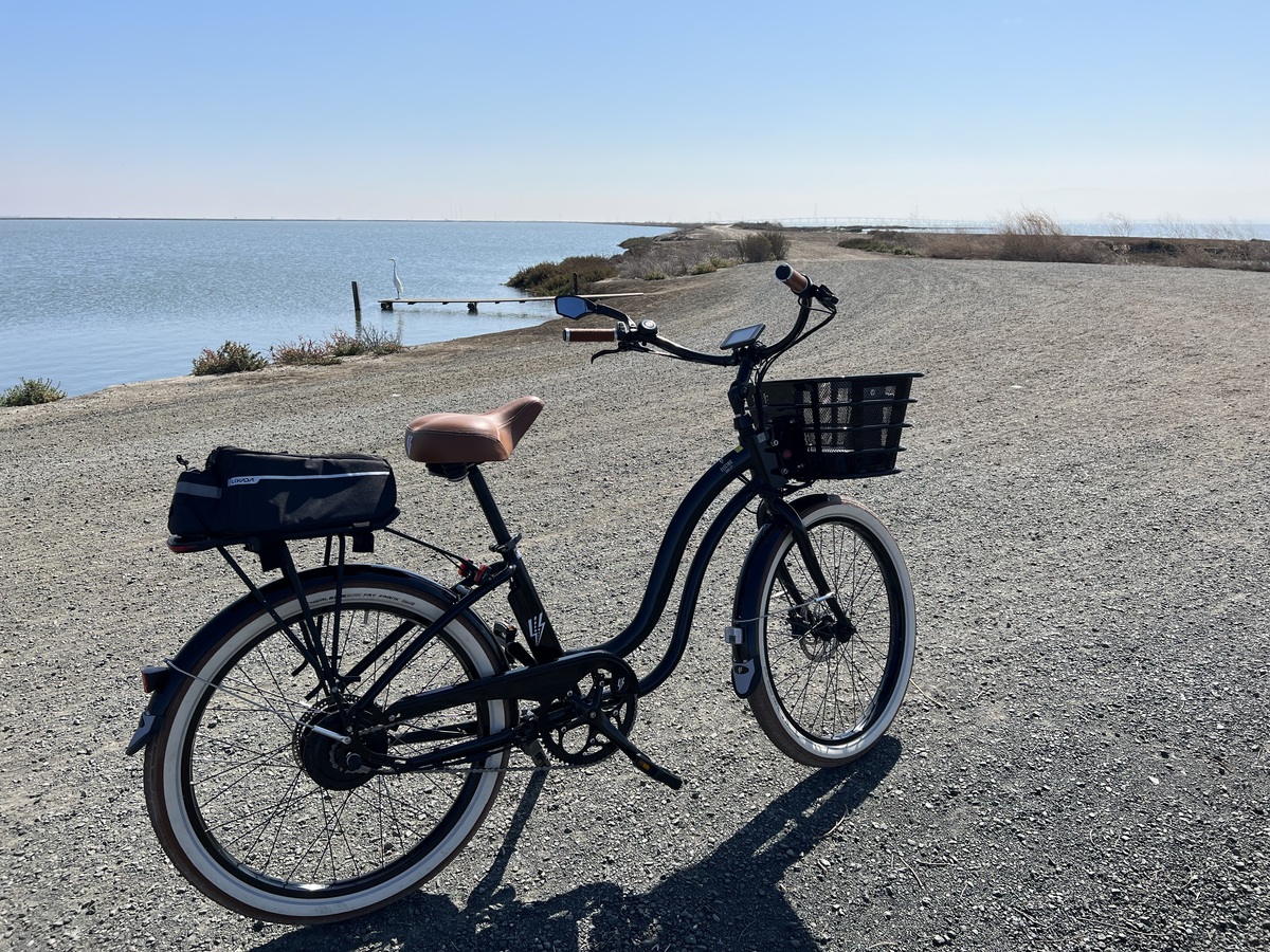 2022 Electric Bike Company Model Y