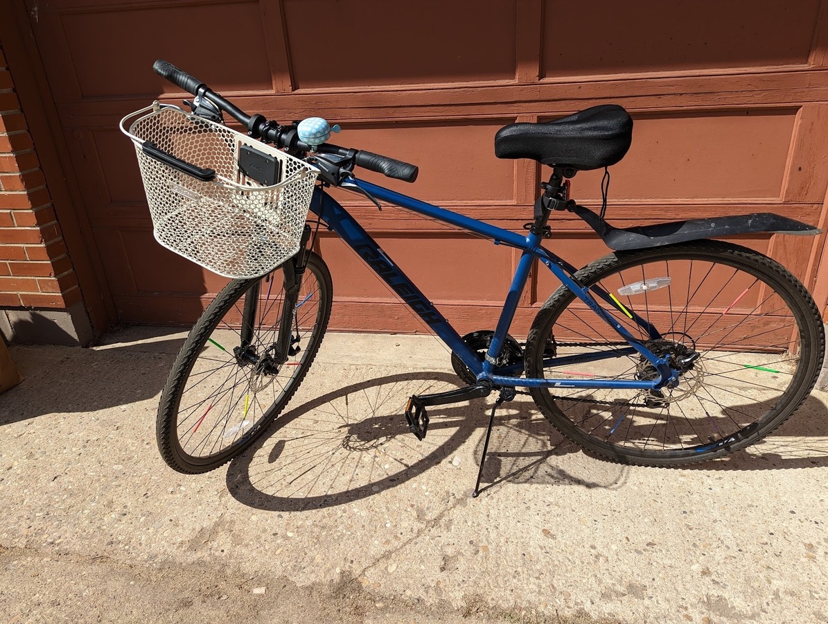 2021 Raleigh Transfer